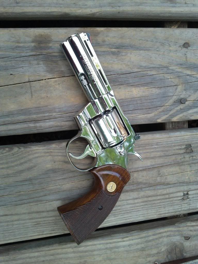 First Python | Colt Forum